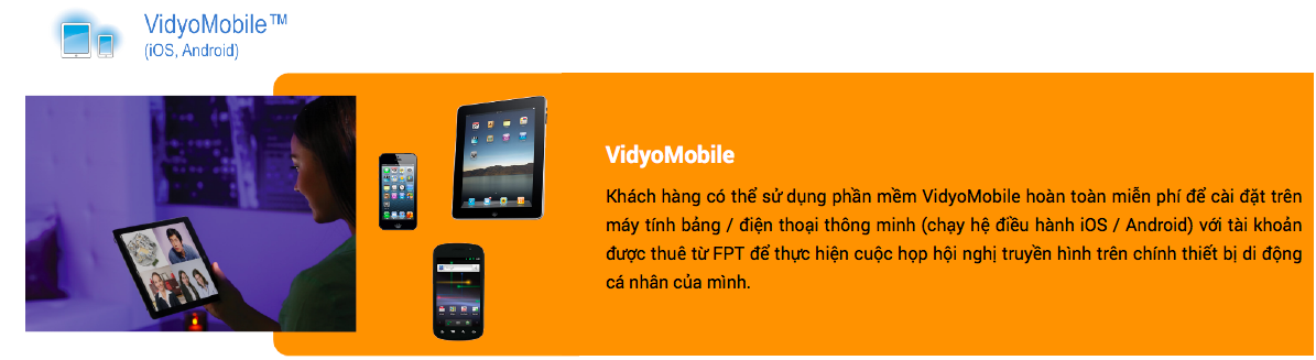 Cung cấp dịch vụ Họp trực tuyến Vidyo FPT - Dịch Vụ Voice FPT